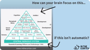 Resources | In The Cortex